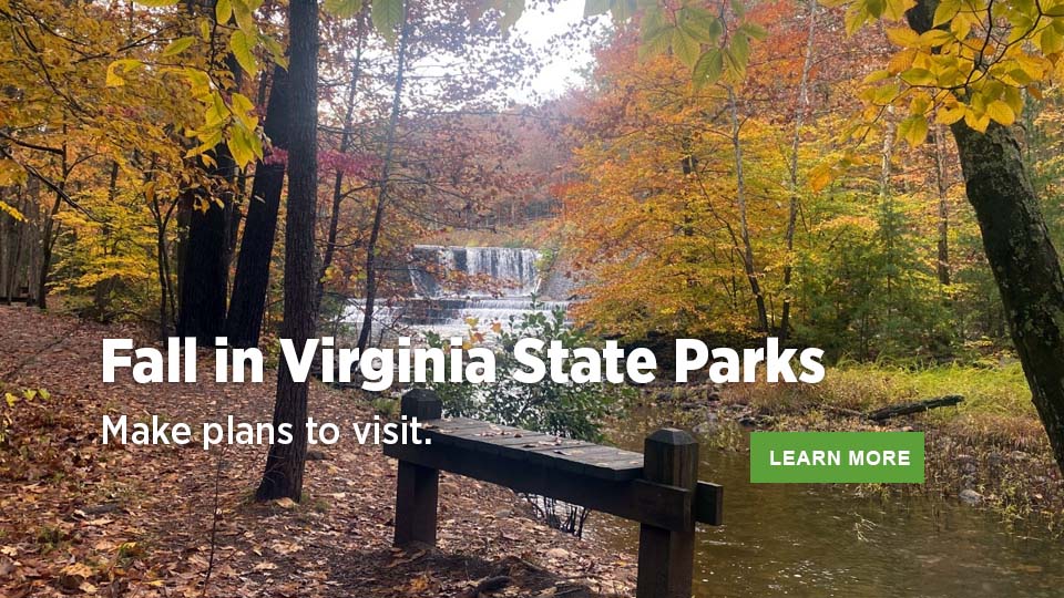 Virginia State