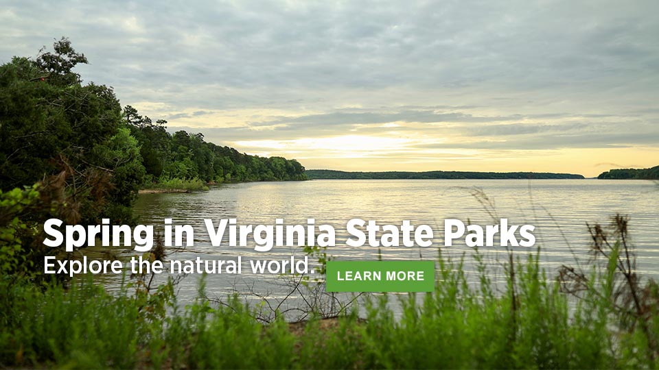 Virginia State Parks